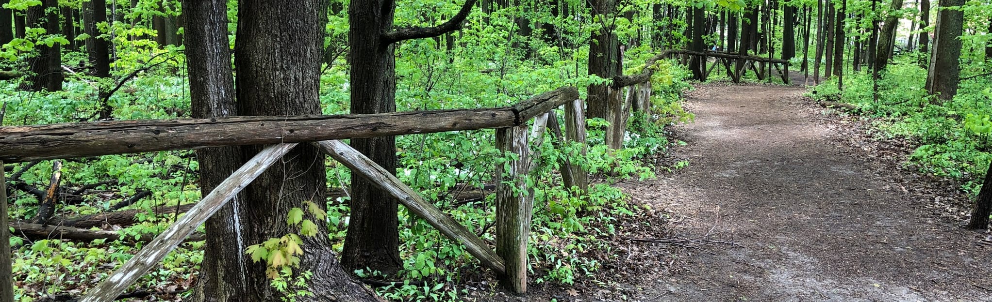 Elgin West Greenway Walk | Map, Guide - Ontario, Canada | AllTrails