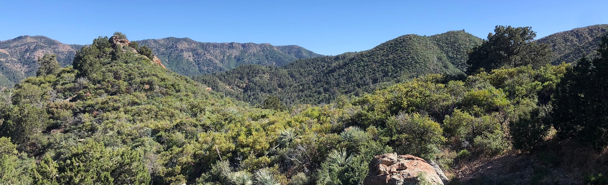 Haunted Canyon Trail #203, Arizona - 56 Reviews, Map | AllTrails