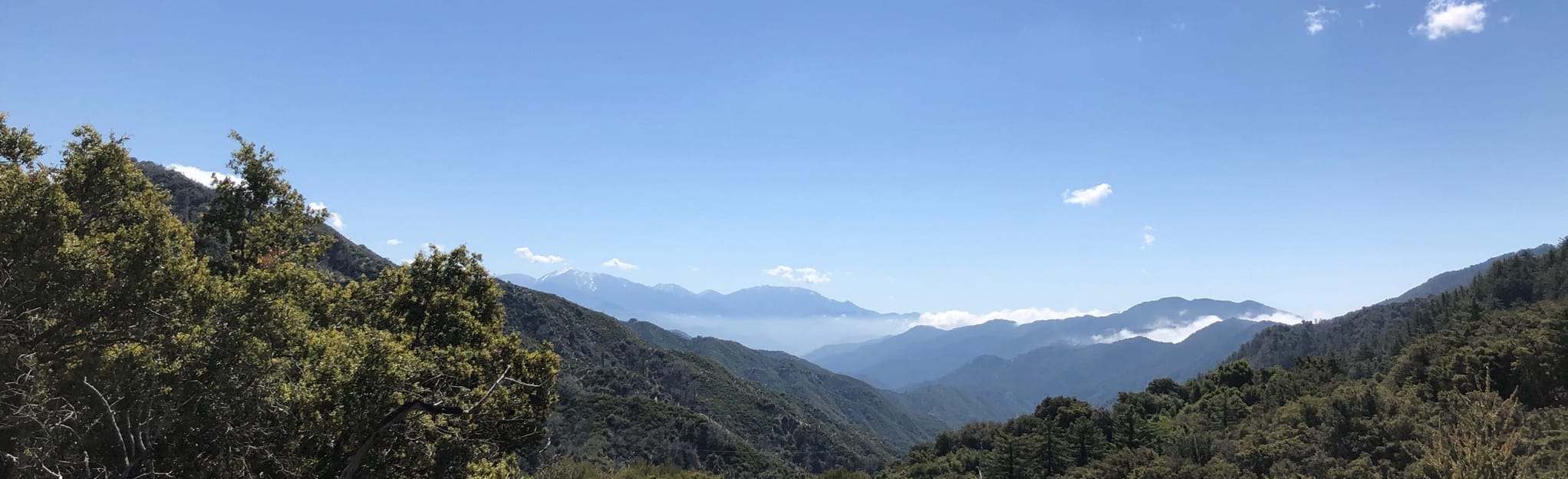 Valley Forge Trail, California - 180 Reviews, Map | AllTrails