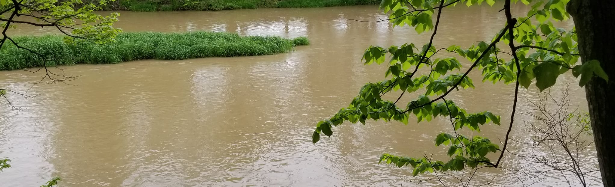 Arbury Trail and Meadow Mouse Trail, Michigan - 37 Reviews, Map | AllTrails