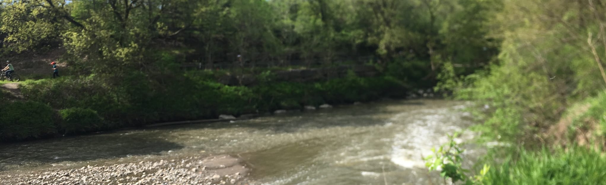 Taylor Creek and The Flats: 607 foto's - Ontario, Canada | AllTrails