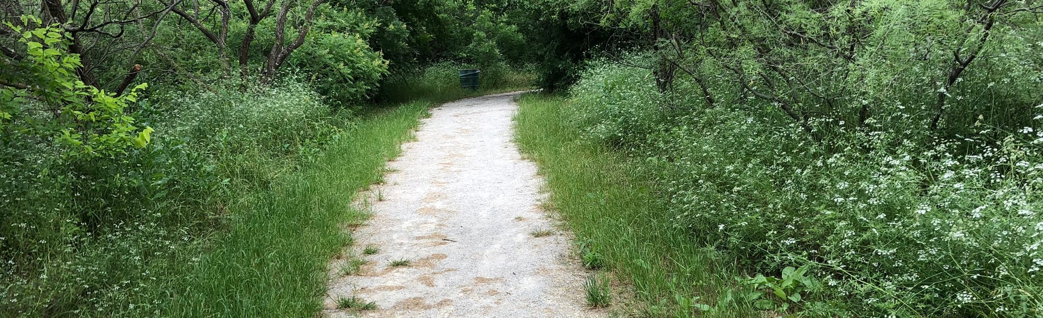 South Lakes Extended Loop: 116 Reviews, Map - Texas | AllTrails