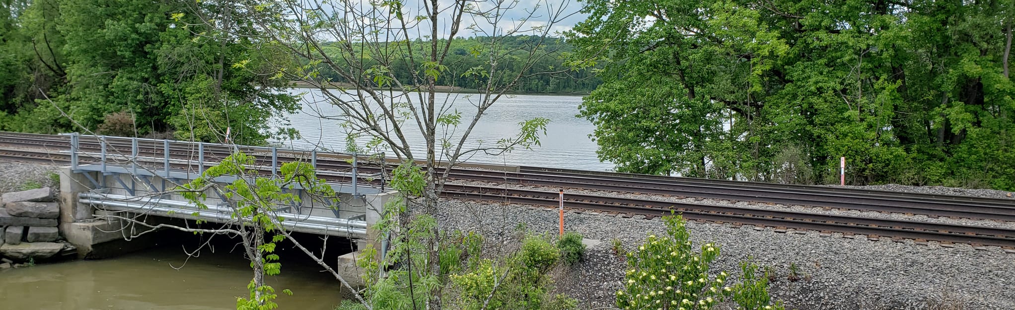 Lewis A Swyer Trail: 55 Reviews, Map - New York | AllTrails