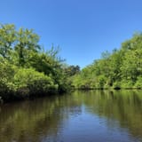 Forge Pond - Metedeconk River Kayak Trail, New Jersey - 16 Reviews, Map ...
