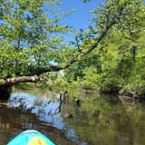 Forge Pond - Metedeconk River Kayak Trail, New Jersey - 16 Reviews, Map ...