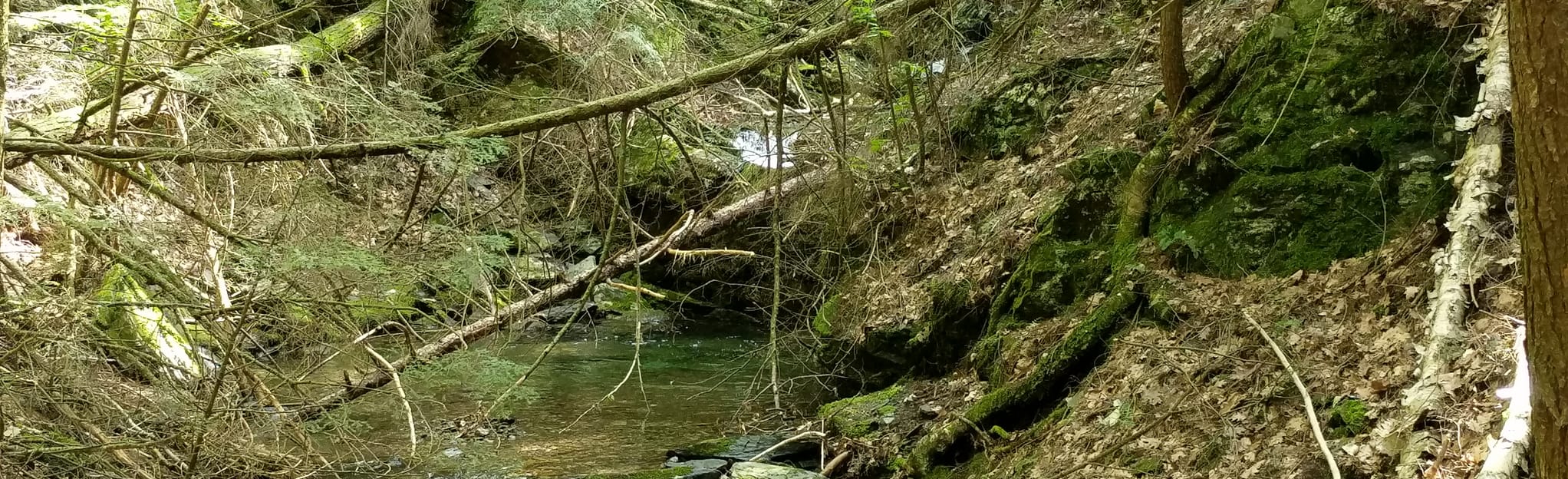 Farm Road, Franz's Falls, and Rusty Bucket Trail Loop, Vermont - 52 ...