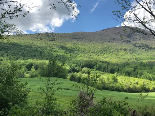 10 Best Hikes and Trails in Mount Greylock State Reservation | AllTrails