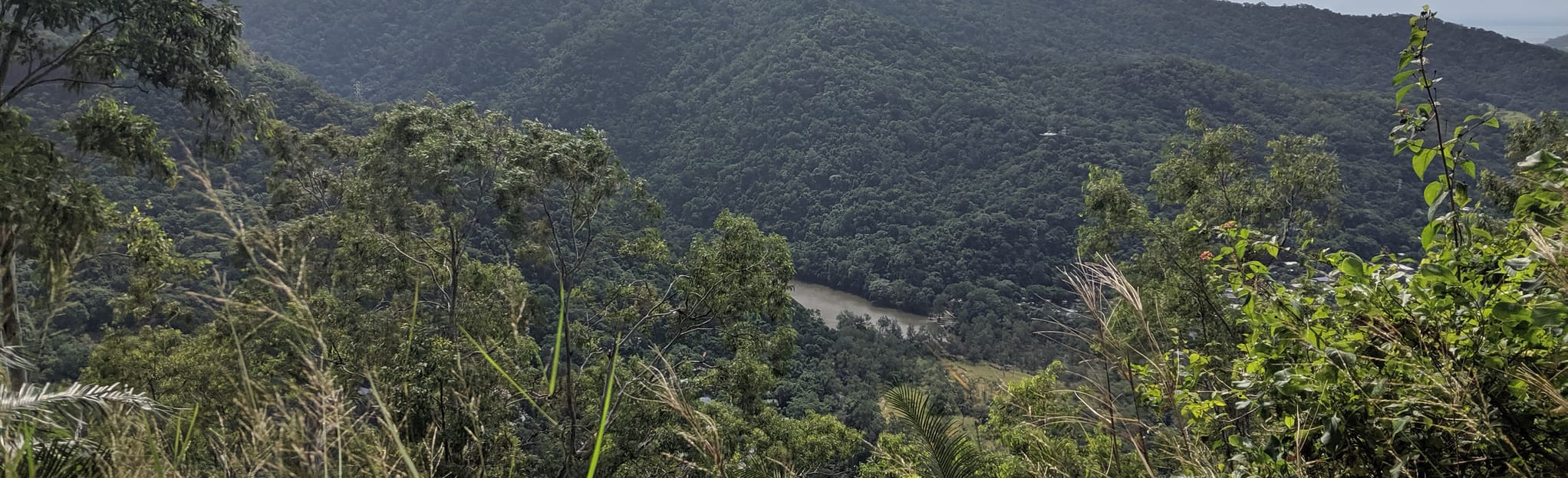 Mount Williams via Smiths Track, Queensland, Australia - 56 Reviews ...