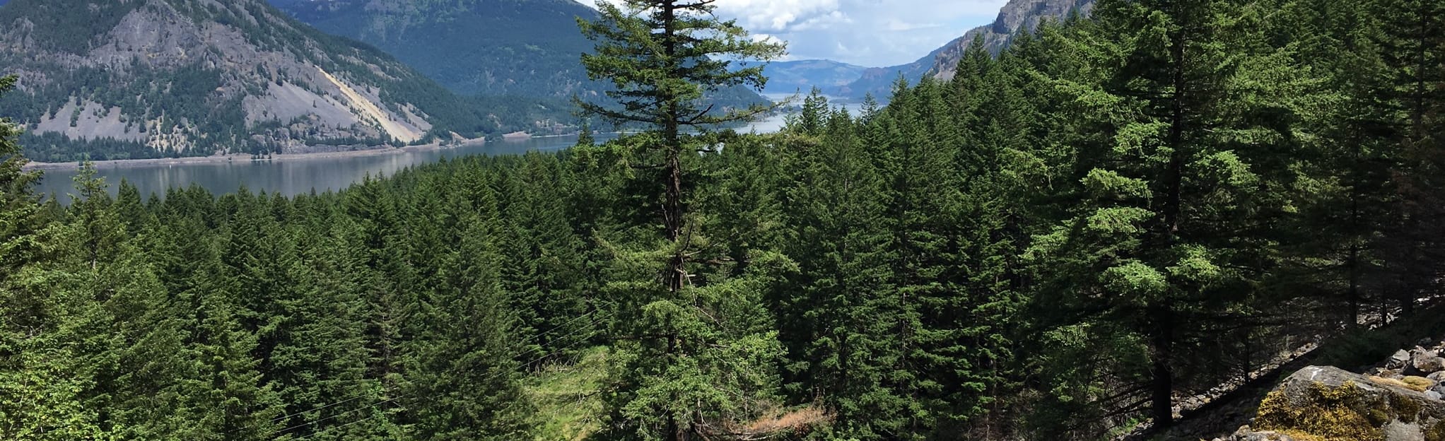 Wyeth to Gorge Trail, Oregon - 173 Reviews, Map | AllTrails