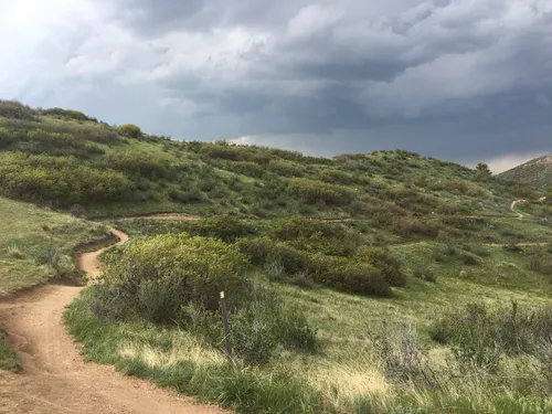 Best Hikes and Trails in Philip S. Miller Park | AllTrails