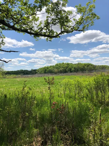 Best Hikes and Trails in John Muir County Park | AllTrails