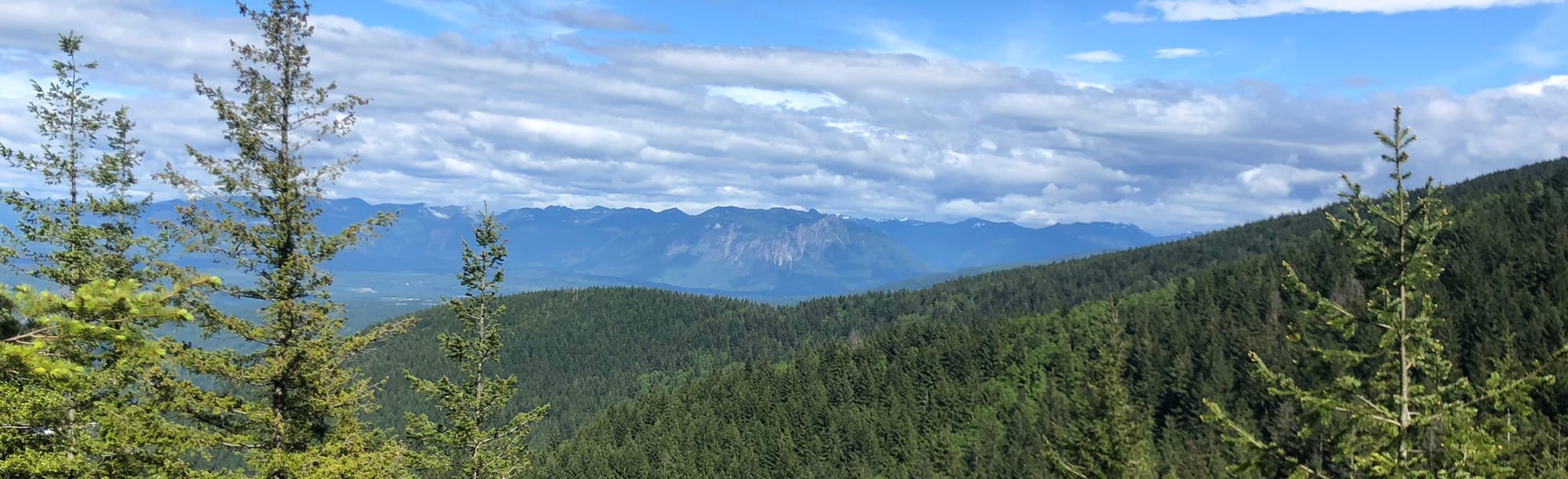 Cable Line Trail to West Tiger #3, Washington - 1,974 Reviews, Map ...