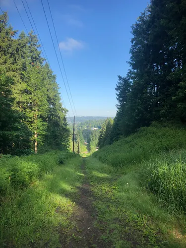 Best Hikes and Trails in Bothell | AllTrails
