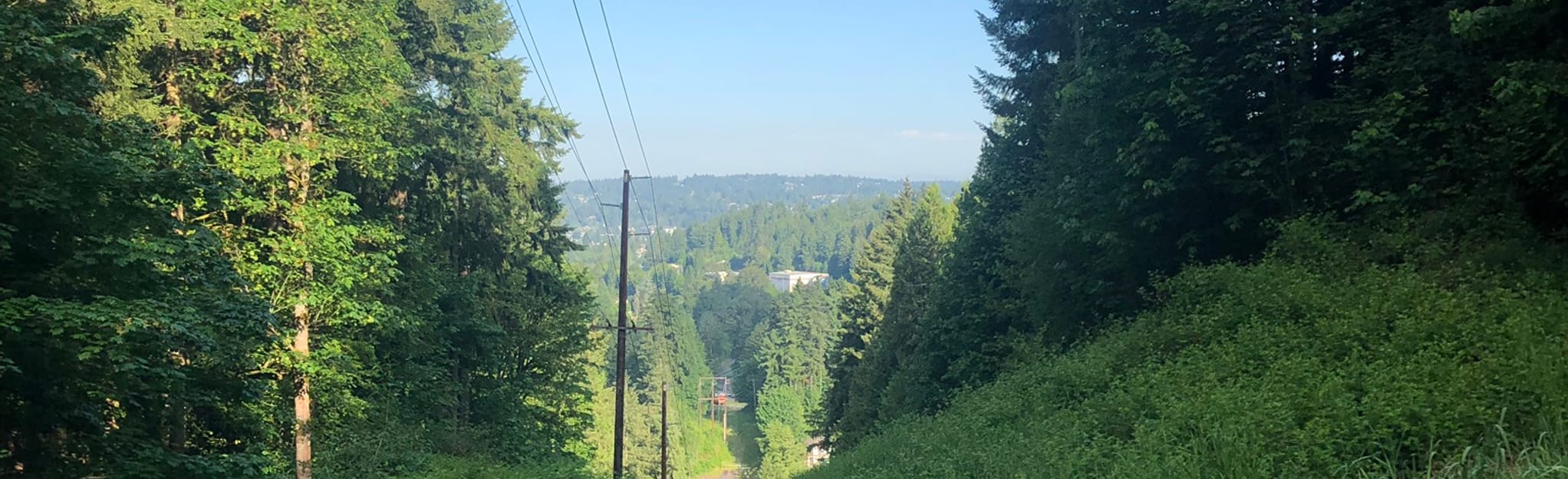 Blyth Park and Tolt Pipeline Trail: 206 foto's - Washington | AllTrails