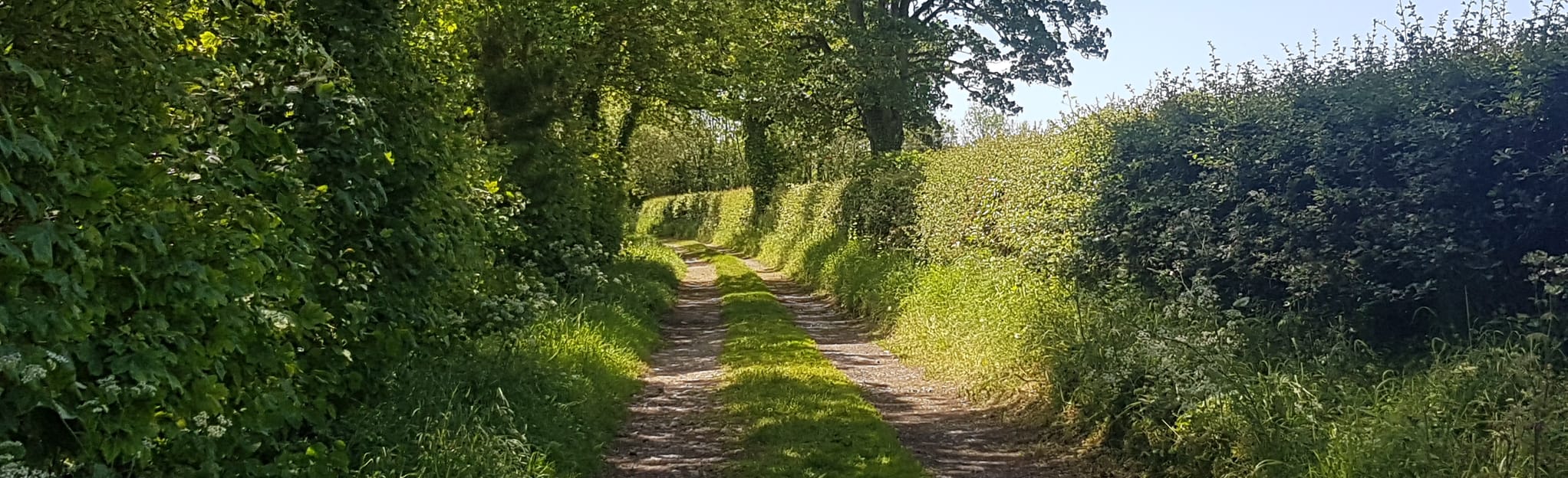 AllTrails | Bilsborrow and River Brock Circular: 6 Reviews, Map ...