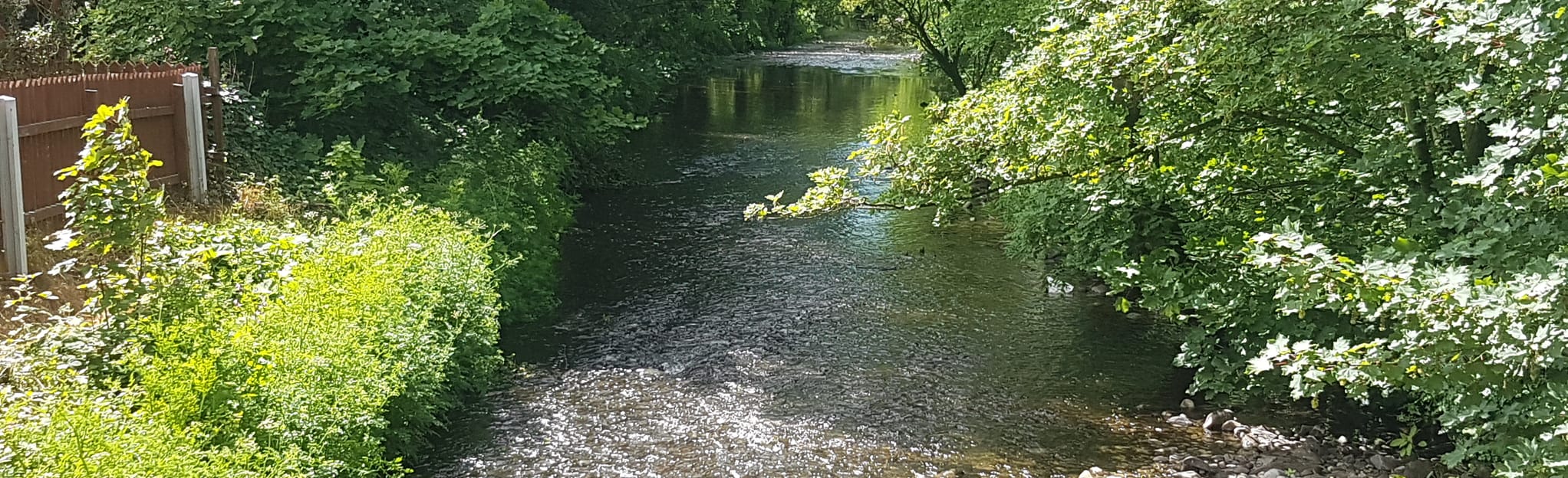 Dumcombe and River Brock Circular, Lancashire, England - 11 Reviews ...