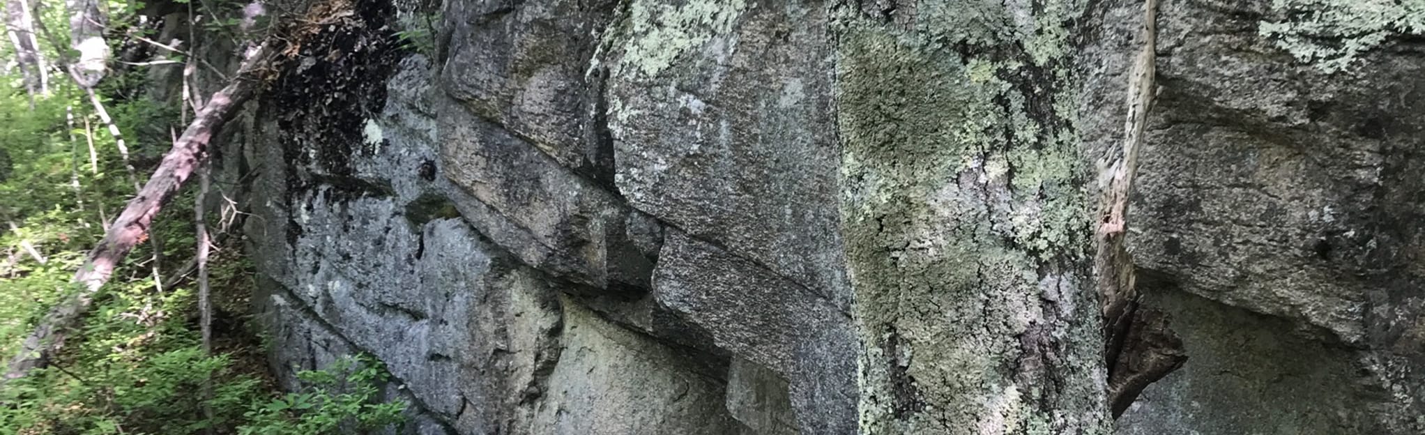 Midstate Trail Alternative Loop: 43 Reviews, Map - Massachusetts ...