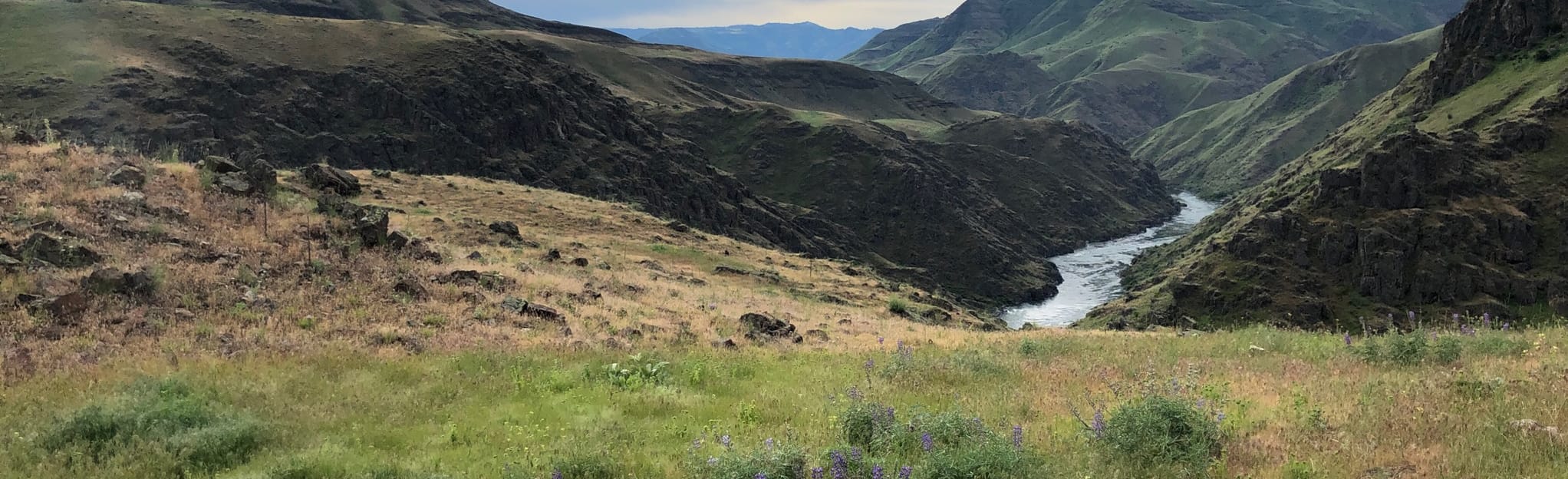 Western Rim and Snake River Trail, Oregon - 3 Reviews, Map | AllTrails