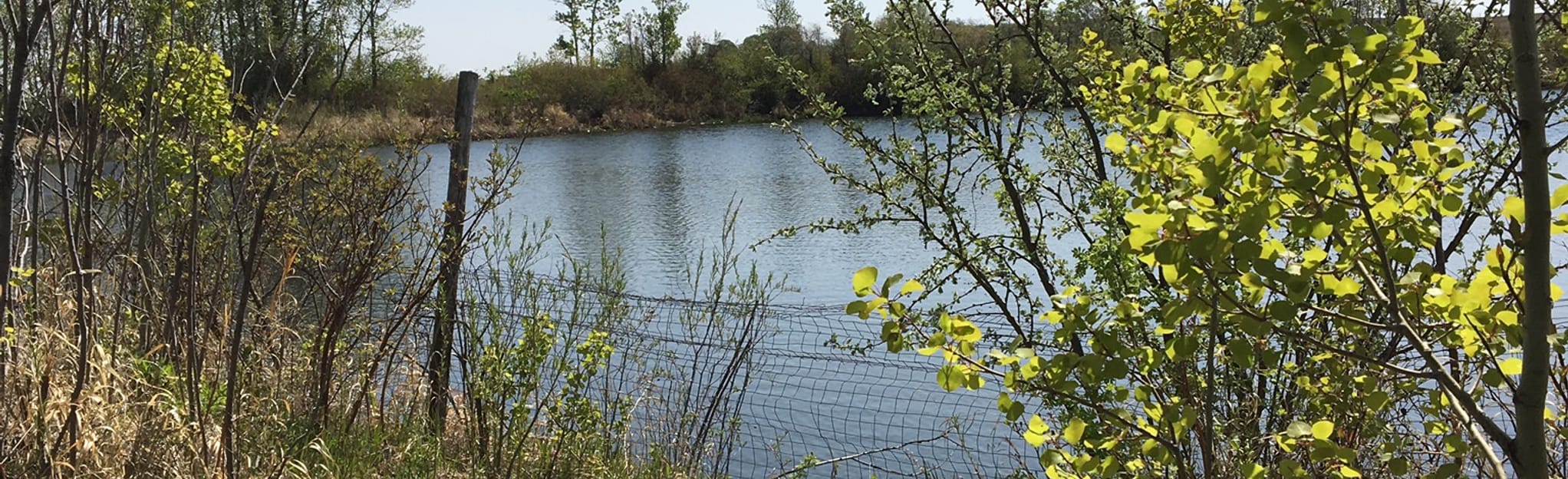 Wynyard Regional Park Loop: 9 Reviews, Map - Saskatchewan, Canada ...