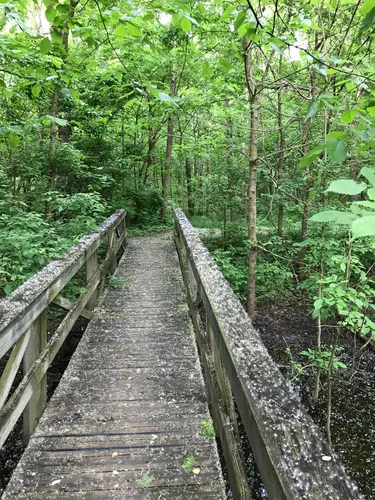 10 Best Trails and Hikes in Indianapolis | AllTrails
