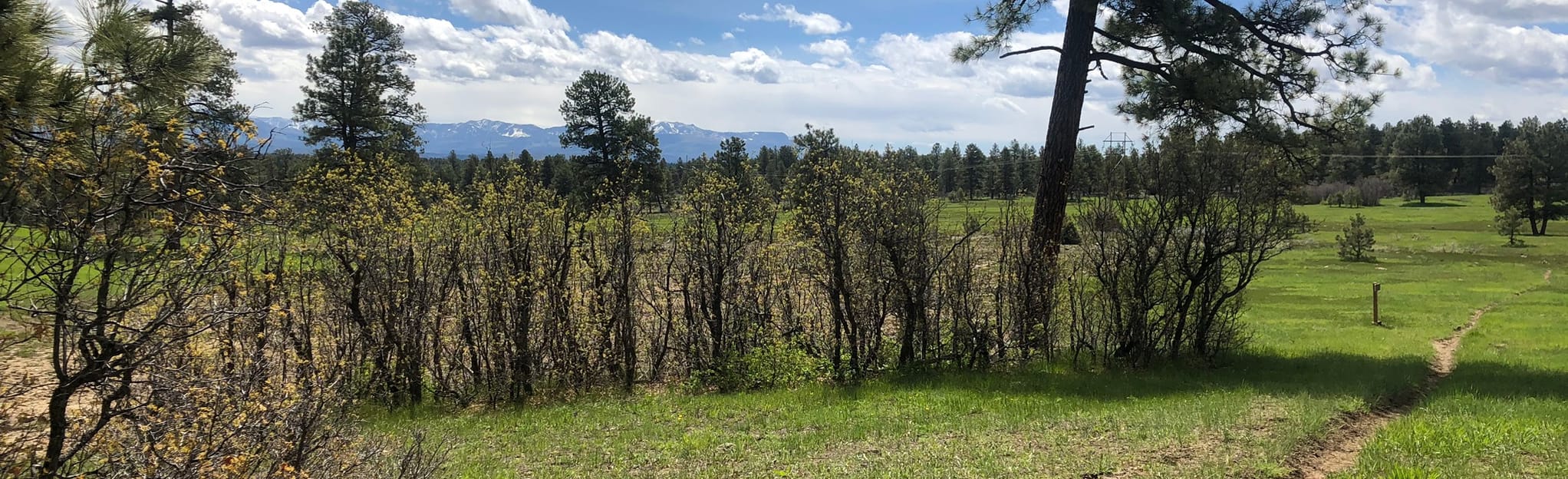 Catamount, Gopher, Lower Rim Loop: 136 fotos - Colorado | AllTrails