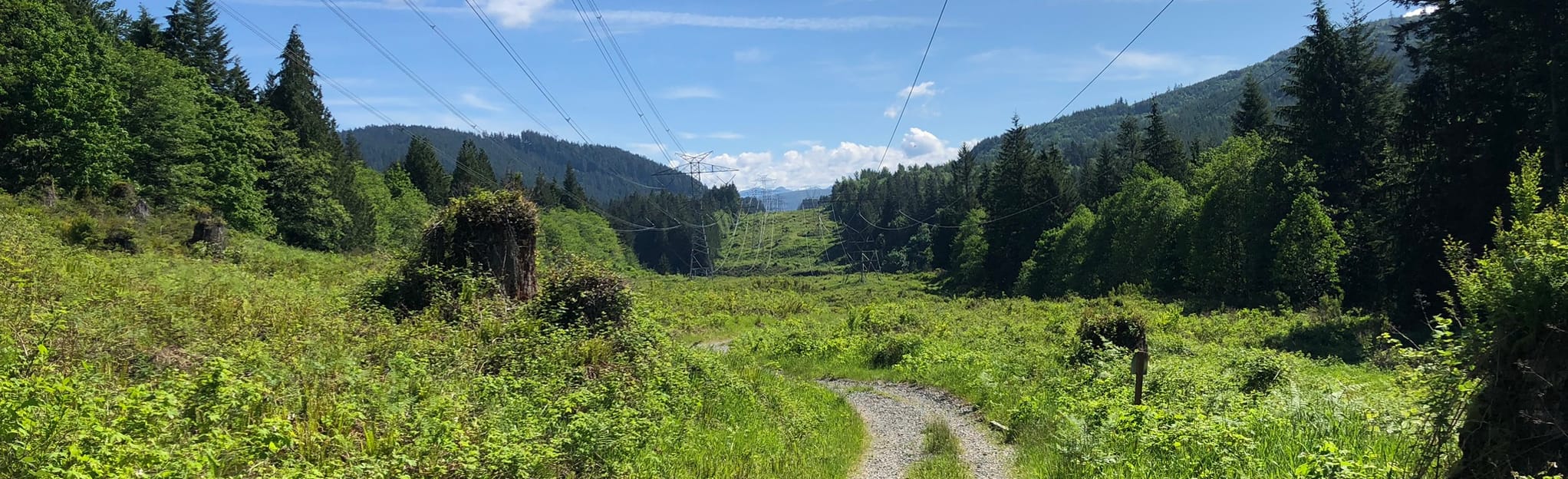 Tiger Mountain Trail: Through Hike, Washington - 69 Reviews, Map ...