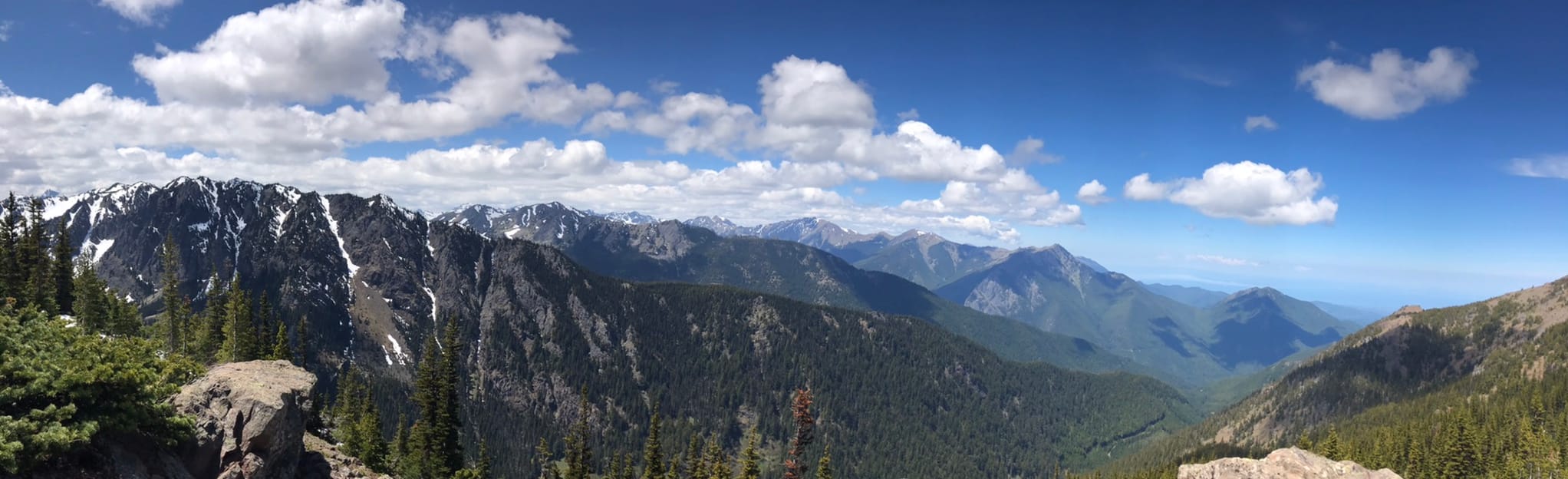 Little Quilcene Trail (historical), Washington - 15 Reviews, Map ...