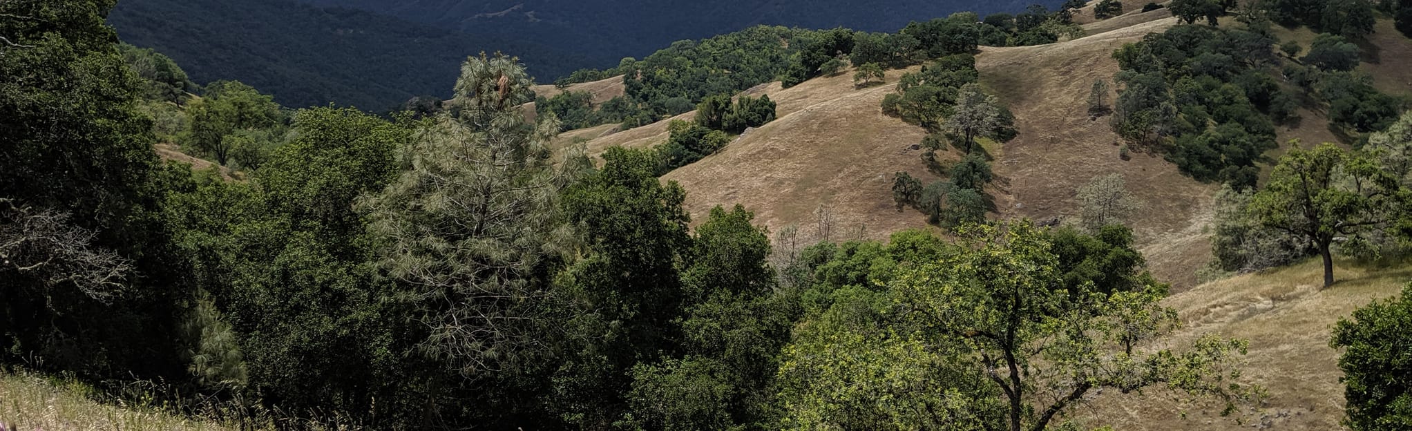 Kelly Lake Loop: Jim Donnelly and Grizzly Gulch Trails, California - 73 ...