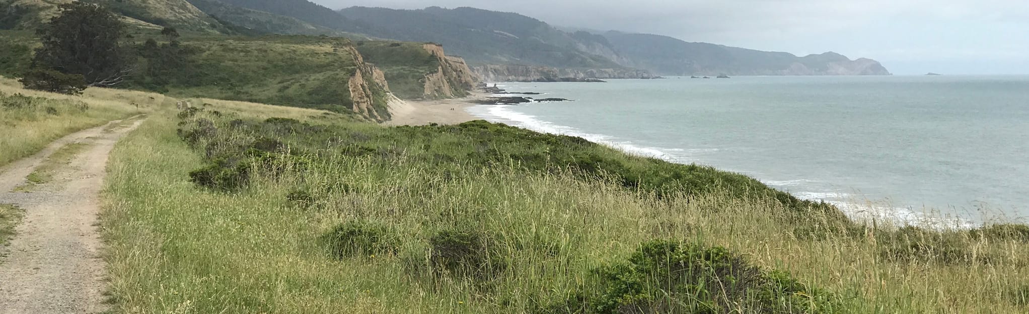 Laguna, Sky, Fire Lane, and Coast Trail Loop: 74 Reviews, Map ...