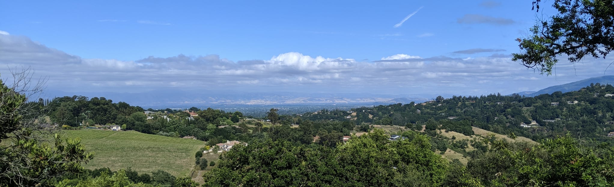 Mount Eden Trail and Canyon Trail, California - 107 Reviews, Map ...