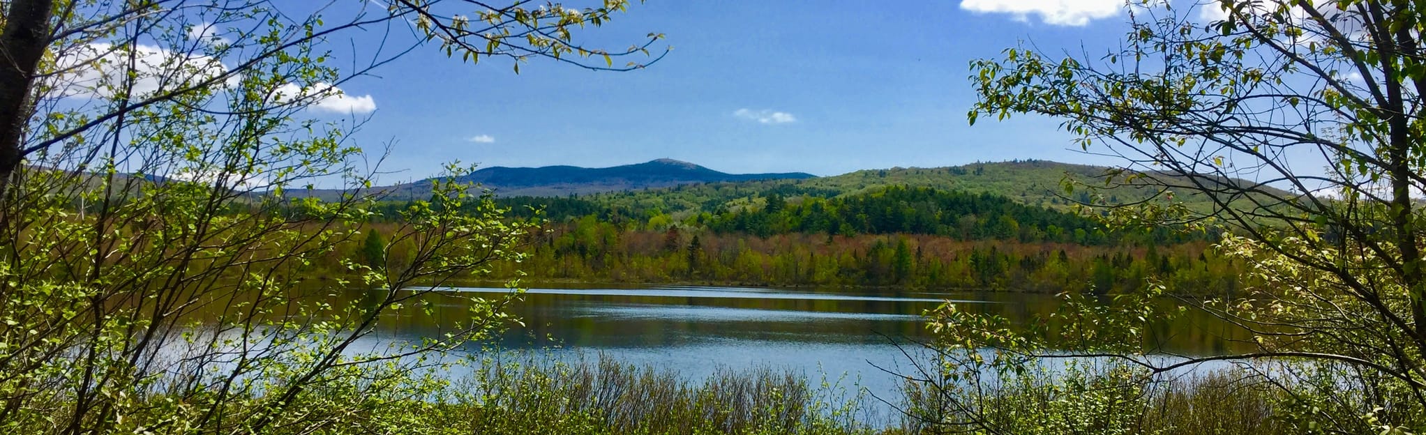 Northern Rail Trail: 422 Reviews, Map - New Hampshire | AllTrails