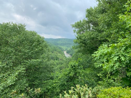 Best Hikes and Trails in Bear Run Nature Reserve | AllTrails