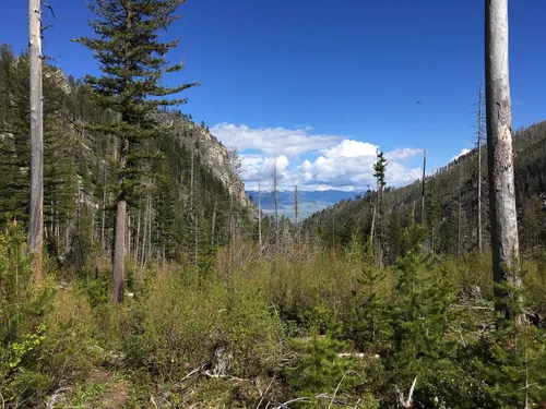 10 Best Hikes and Trails in Bitterroot National Forest | AllTrails