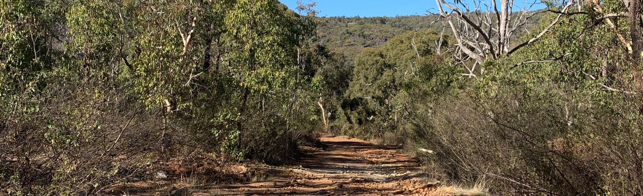 Wungong Short Loop: 165 Reviews, Map - Western Australia, Australia ...