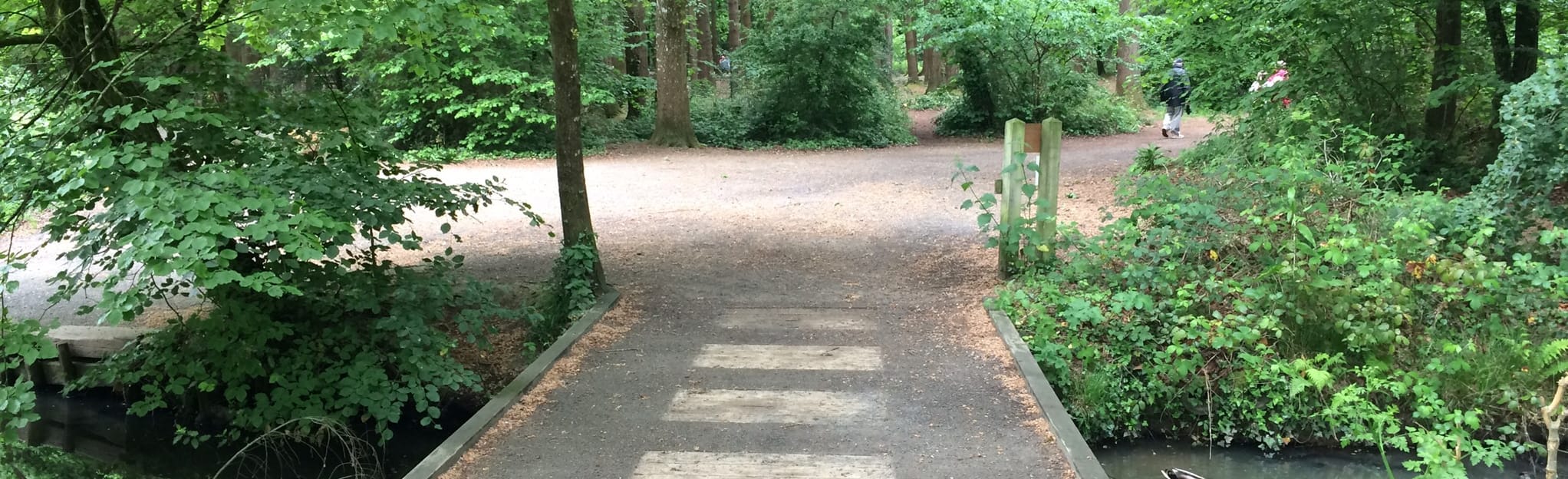 Stover Lake Short Circular Walk | Map, Guide - Devon, England | AllTrails