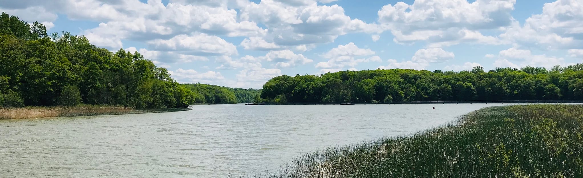 Genesee River (Charlotte Area): 80 Reviews, Map - New York | AllTrails