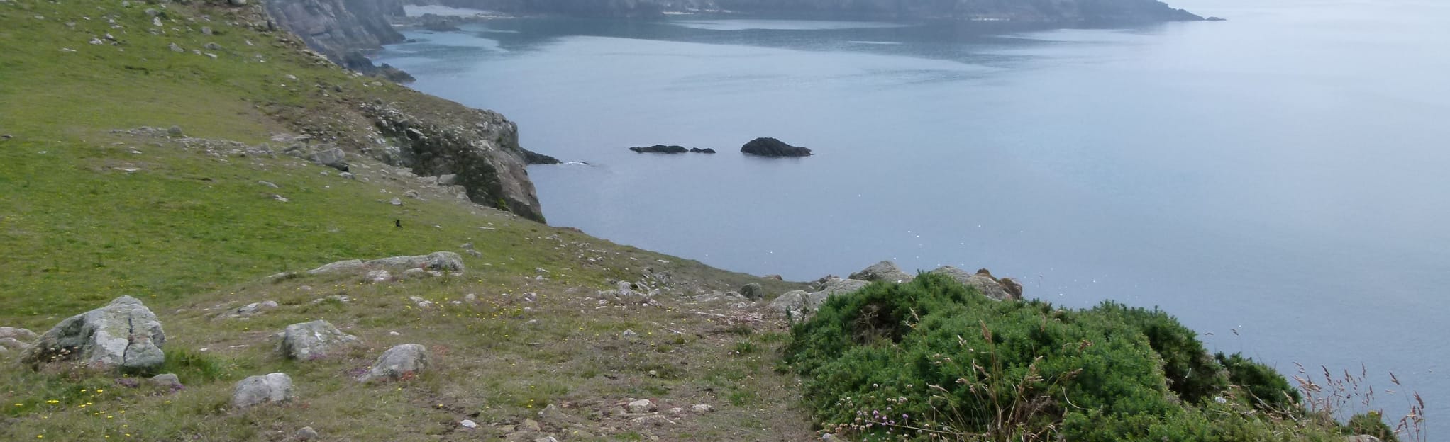 Solva and Pointz Castle: 98 Reviews, Map - Pembrokeshire, Wales | AllTrails