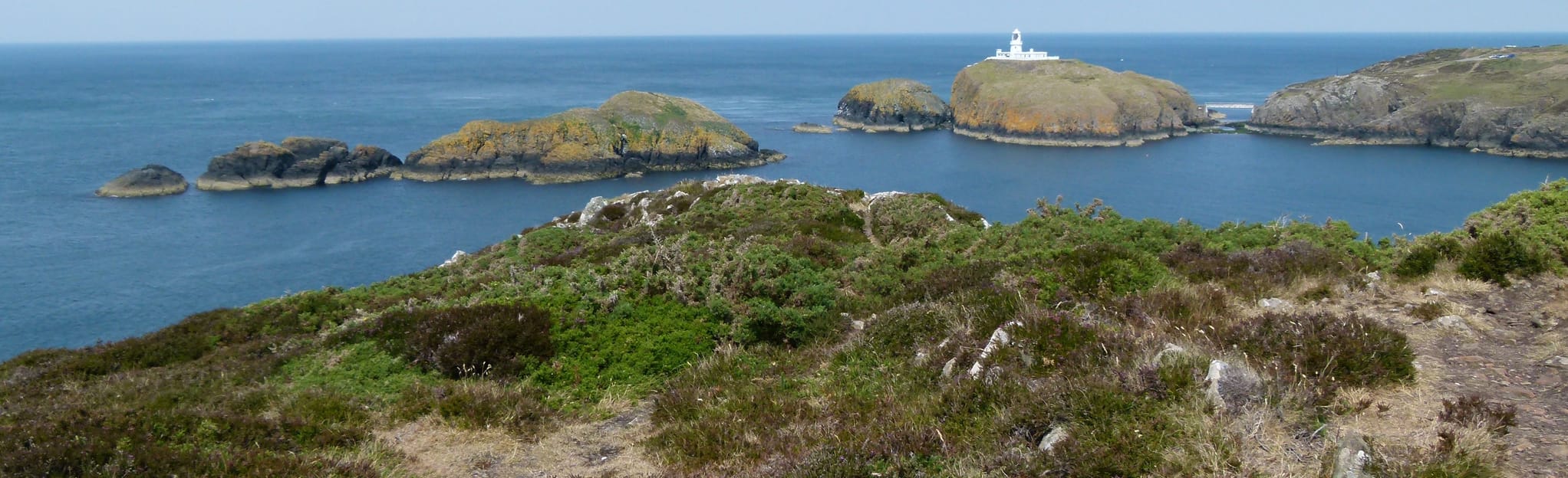 Strumble Head Circular, Pembrokeshire, Wales - 183 Reviews, Map | AllTrails