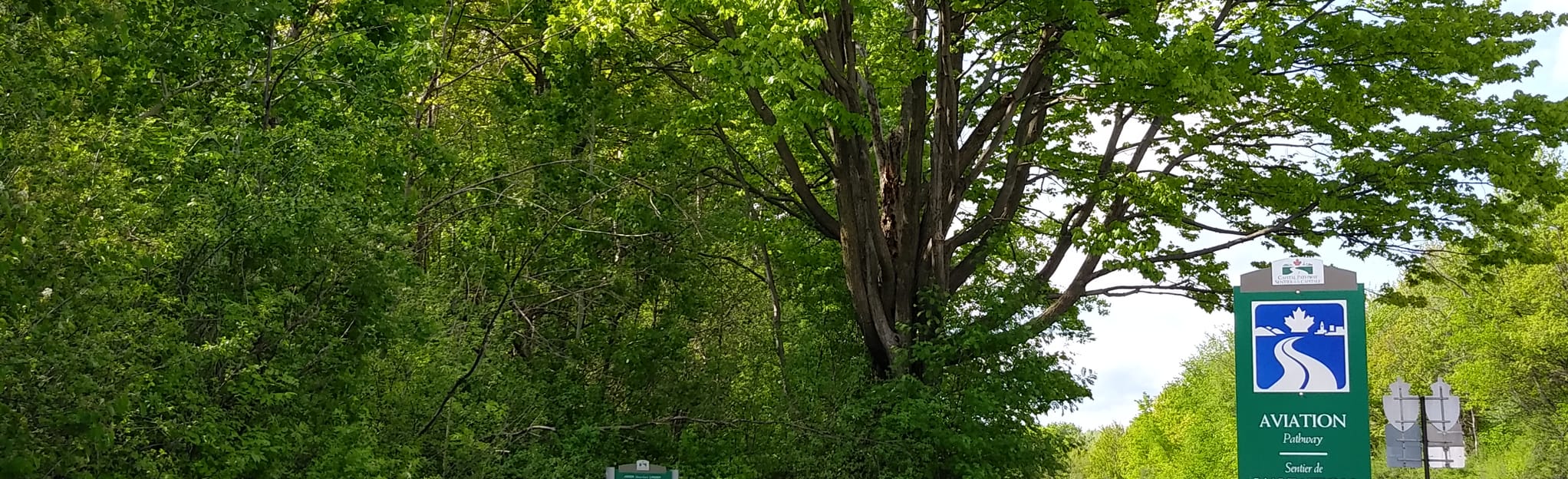 Ken Steele Park, Ontario, Canada - 13 Reviews, Map | AllTrails