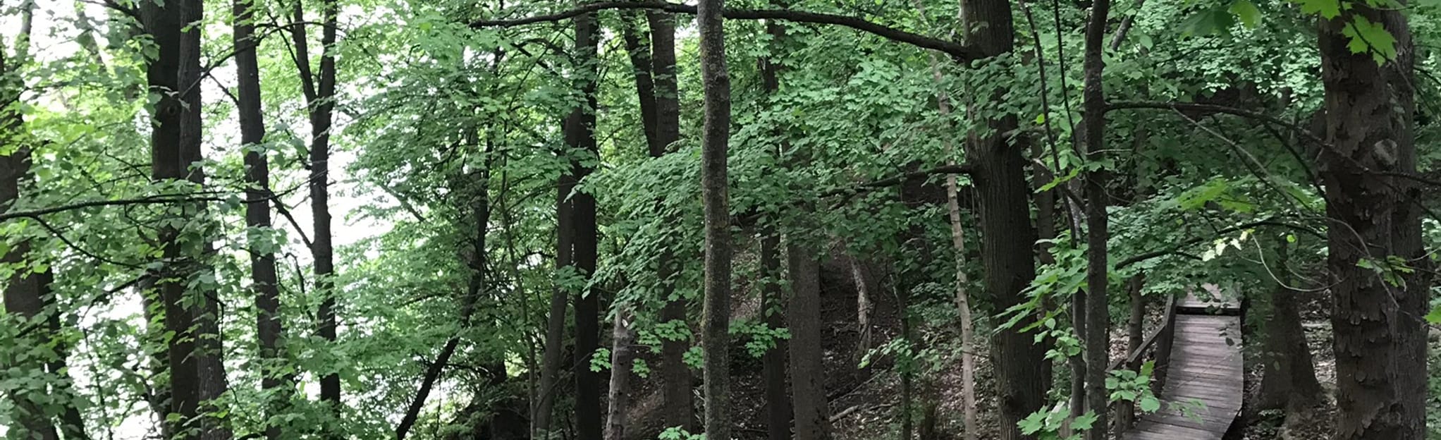 Žiegždrių geologinis takas - Kaunas, Lithuania | AllTrails