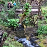 North Umpqua Trail: Swiftwater and Tioga Segment, Oregon - 36 Reviews ...