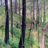 North Umpqua Trail: Swiftwater and Tioga Segment, Oregon - 36 Reviews ...