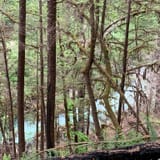 North Umpqua Trail: Swiftwater and Tioga Segment, Oregon - 41 Reviews ...