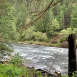 North Umpqua Trail: Swiftwater and Tioga Segment, Oregon - 41 Reviews ...