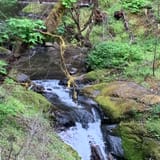 North Umpqua Trail: Swiftwater and Tioga Segment, Oregon - 36 Reviews ...