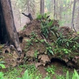 North Umpqua Trail: Swiftwater and Tioga Segment, Oregon - 36 Reviews ...