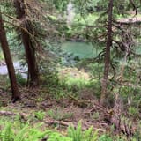 North Umpqua Trail: Swiftwater and Tioga Segment, Oregon - 41 Reviews ...