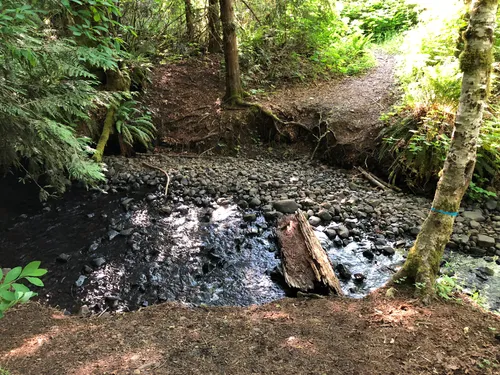 Best Forest Trails in Dunn Research Forest | AllTrails