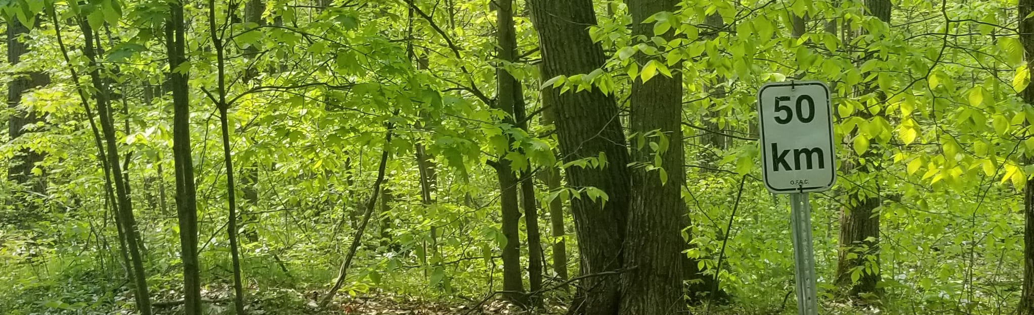 Ganaraska Forest Trail: 131 Reviews, Map - Ontario, Canada | AllTrails