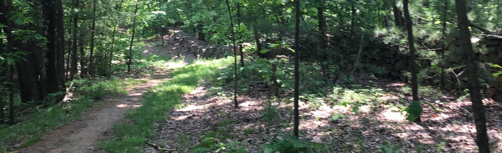 Green Hill Loop: 101 Reviews, Map - Massachusetts | AllTrails